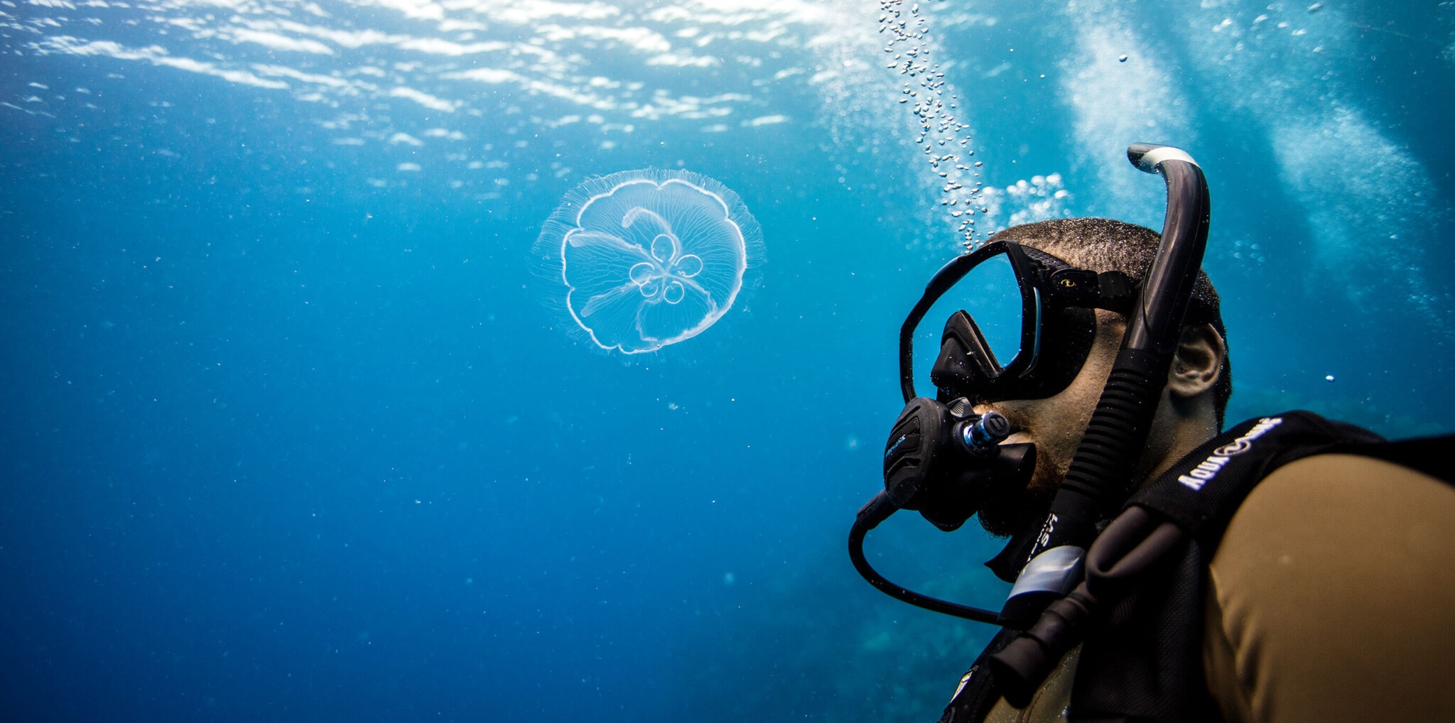 7 Reasons to Become a PADI Rebreather Diver