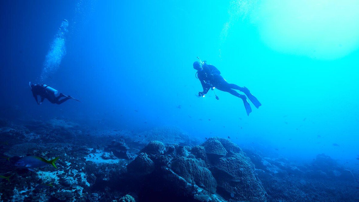 Getting Started: What Do You Need for Deep Sea Diving